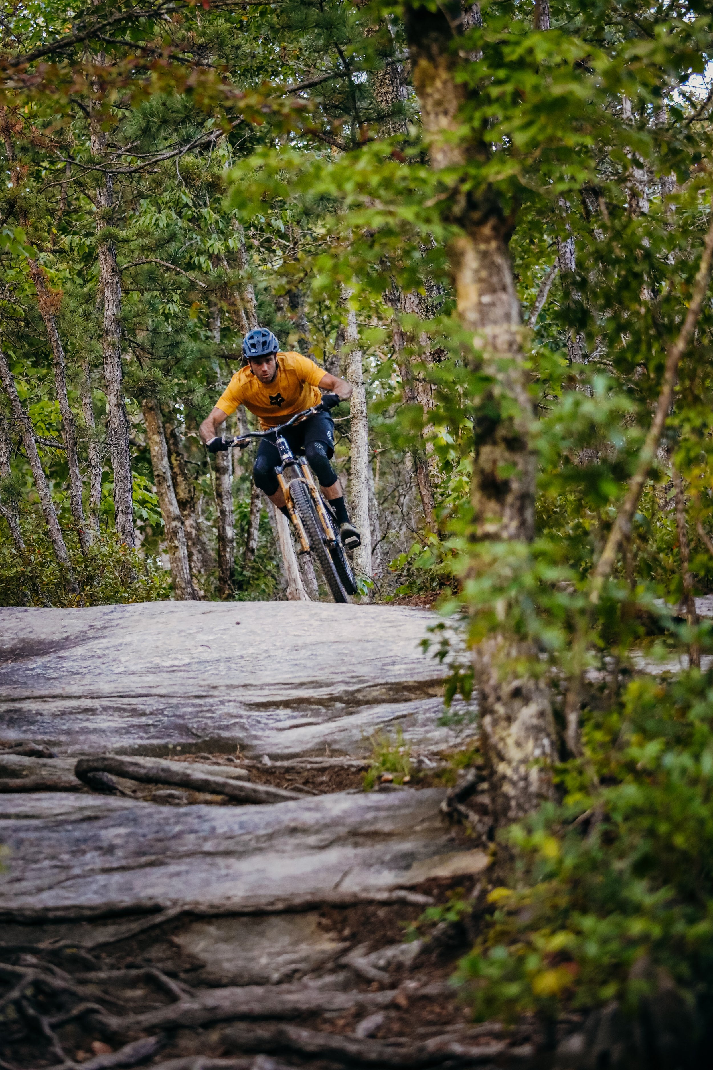 Frameworks Bicycles