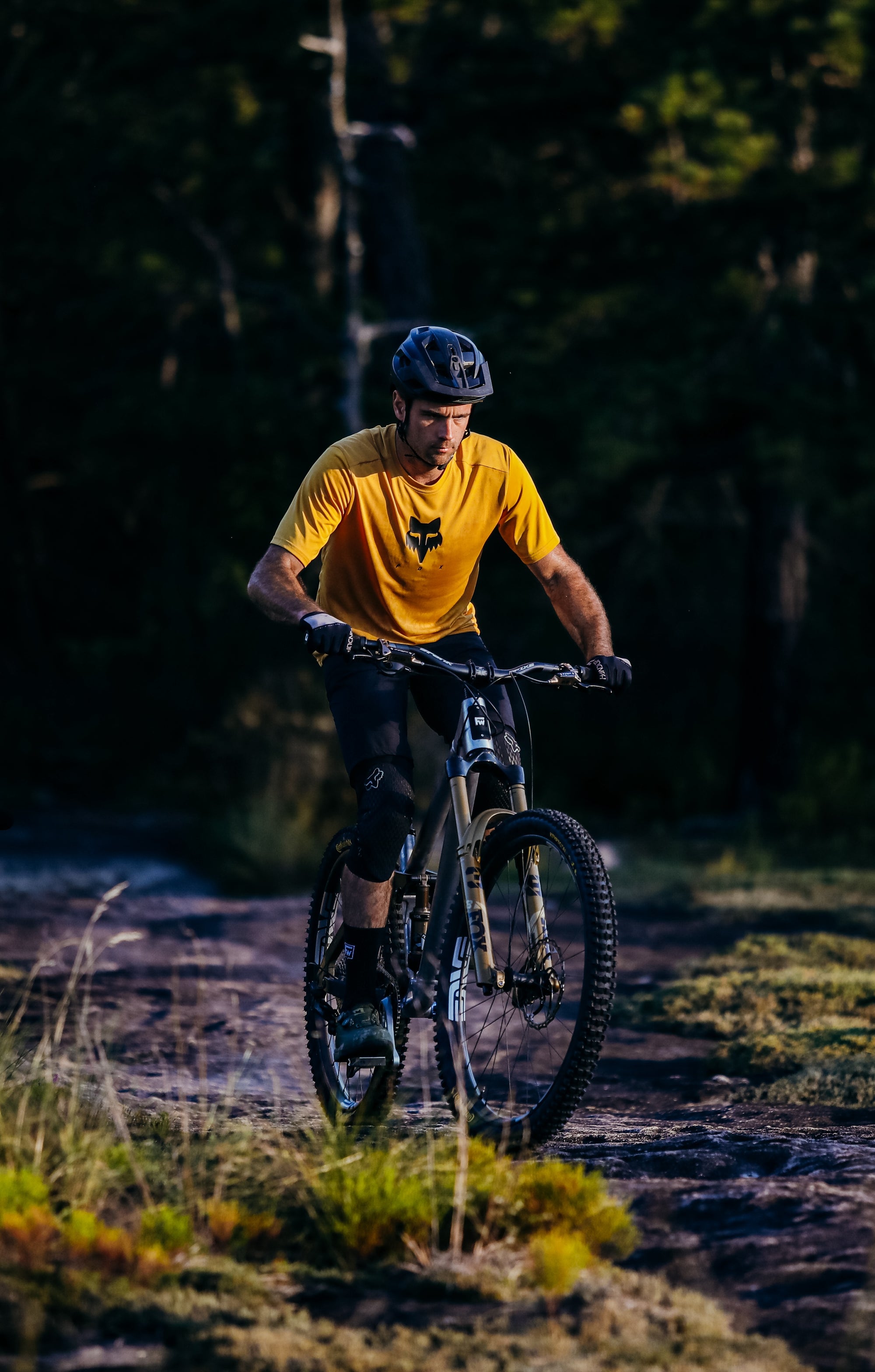 Frameworks Bicycles