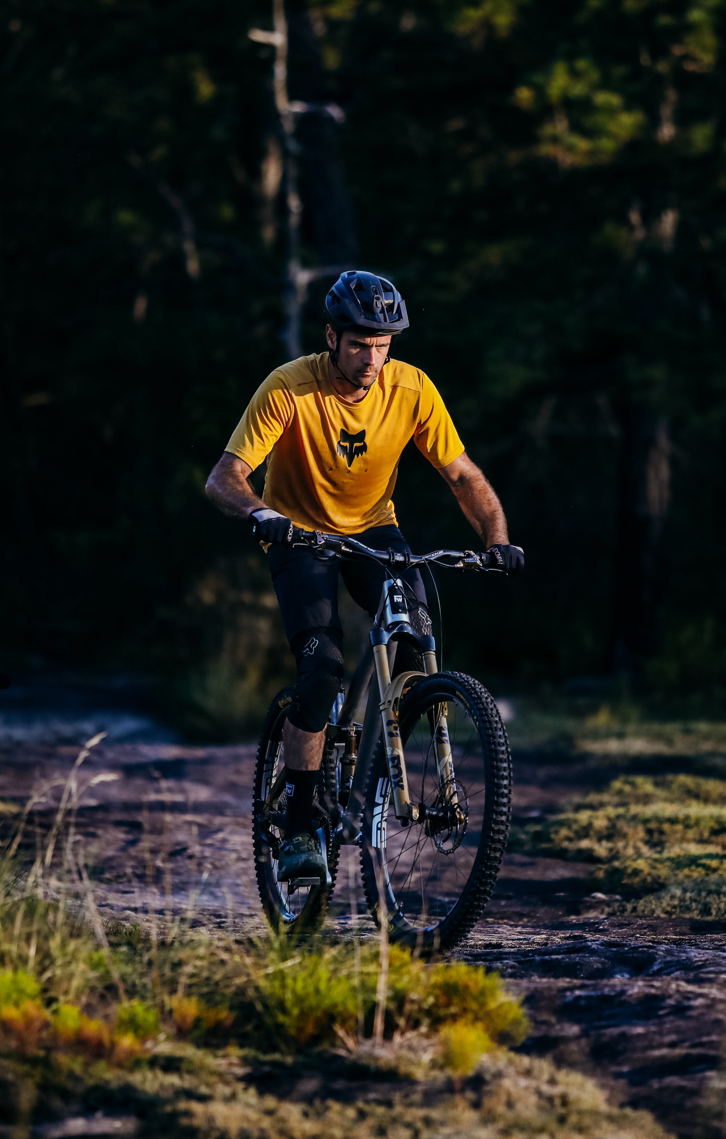 Frameworks Bicycles