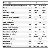 DH FRAME – Frameworks Bicycles