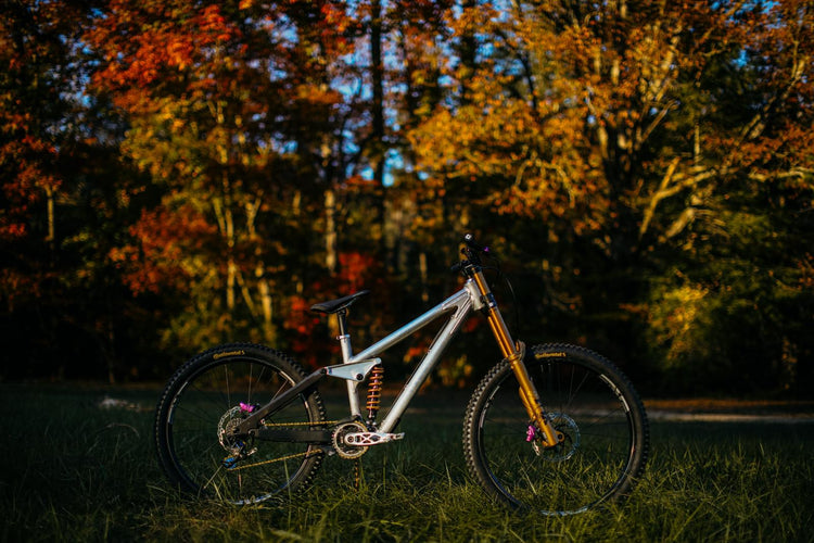 DH FRAME – Frameworks Bicycles